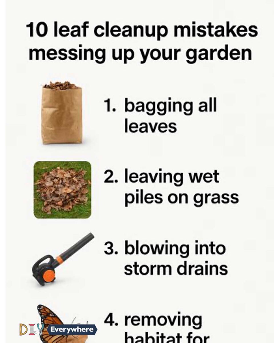10 leaf cleanup mistakes messing up your garden - Diy Home Garden