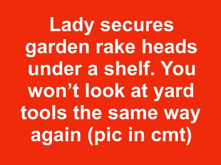 Lady secures garden rake heads under a shelf. You won’t look at yard ...