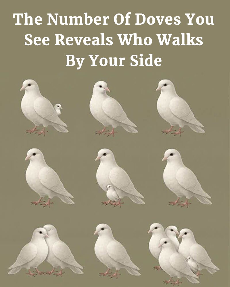 The Number Of Doves You See Reveals Who Walks By Your Side - Diy Home ...